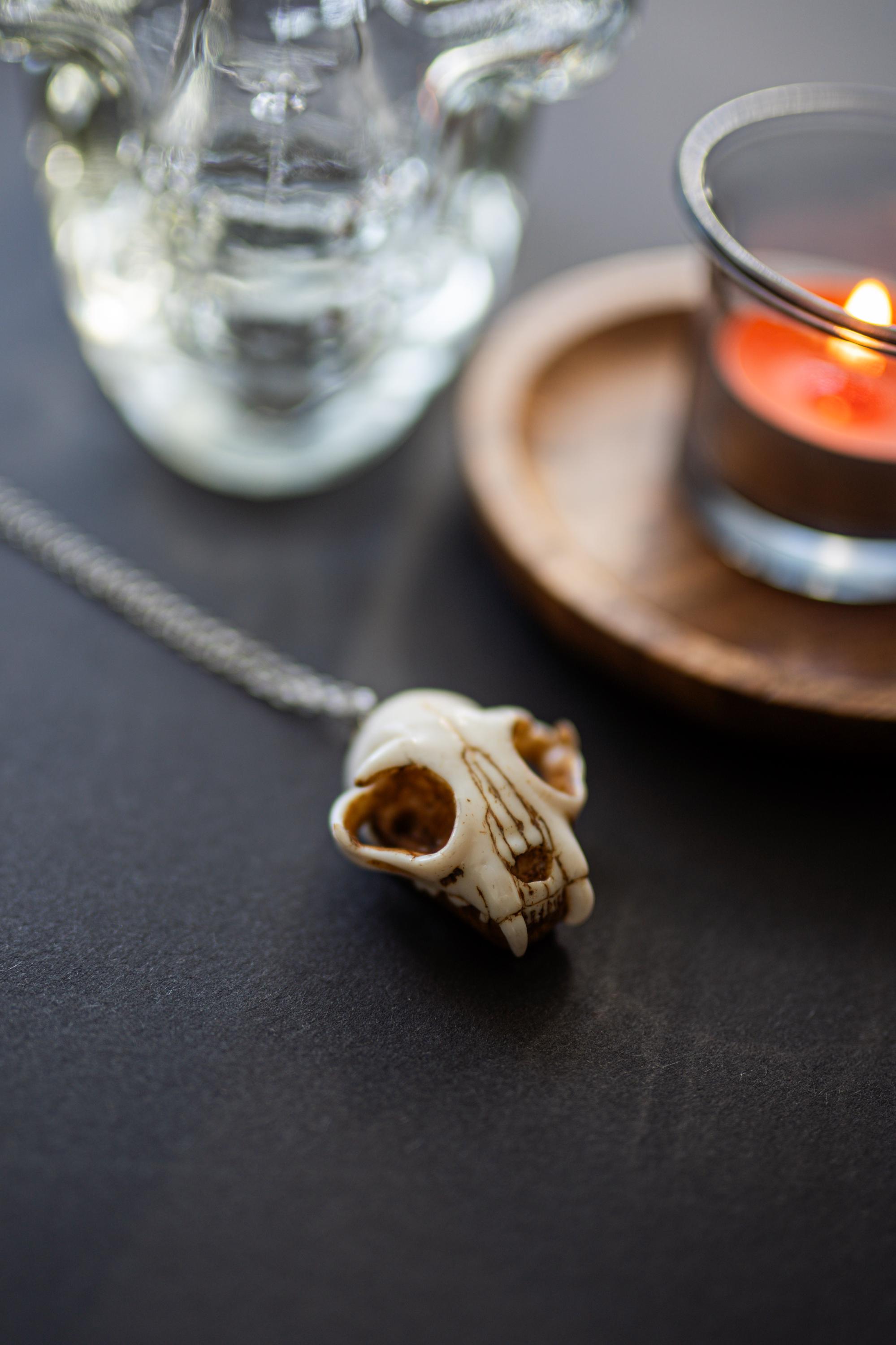 Cat Skull Necklace / Faux Taxidermy / Witchy Necklace / Gothic Jewelry ...