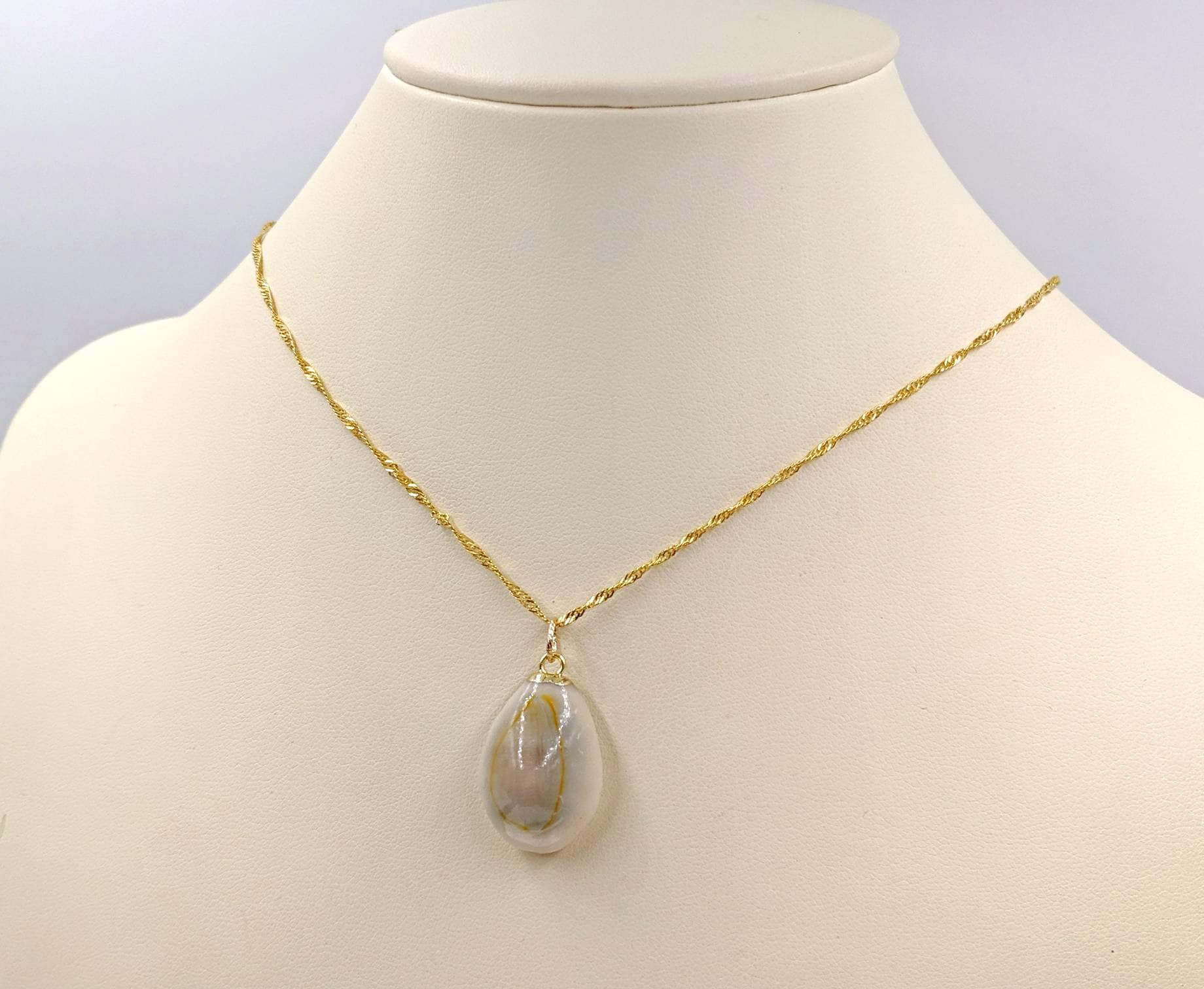 24K Gold Cowrie Shell Puka Shell Necklace Gold Puka Shell - Etsy