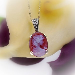 Cameo Necklace; Genuine Red Agate Cameo Necklace W 925 Sterling Setting ...