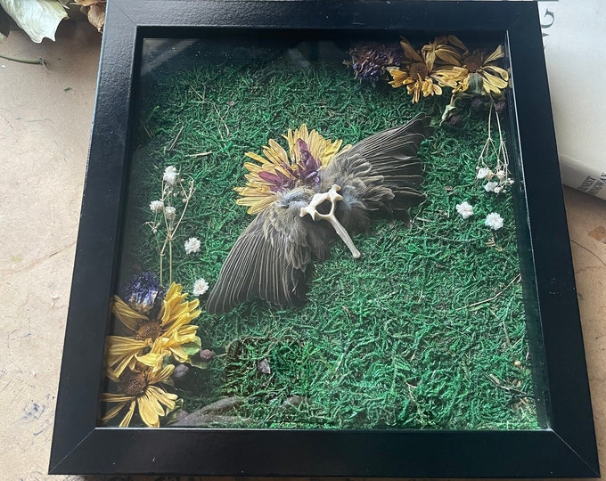 Bird Wings in Shadow Box - Etsy