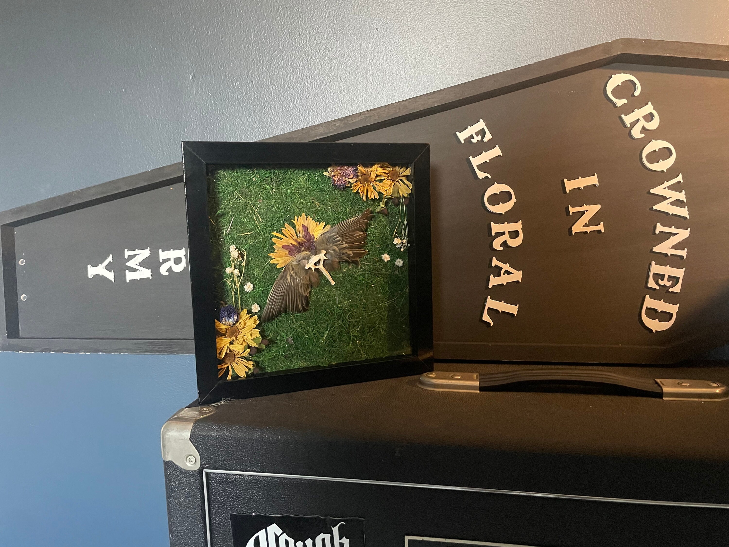 Bird Wings in Shadow Box - Etsy