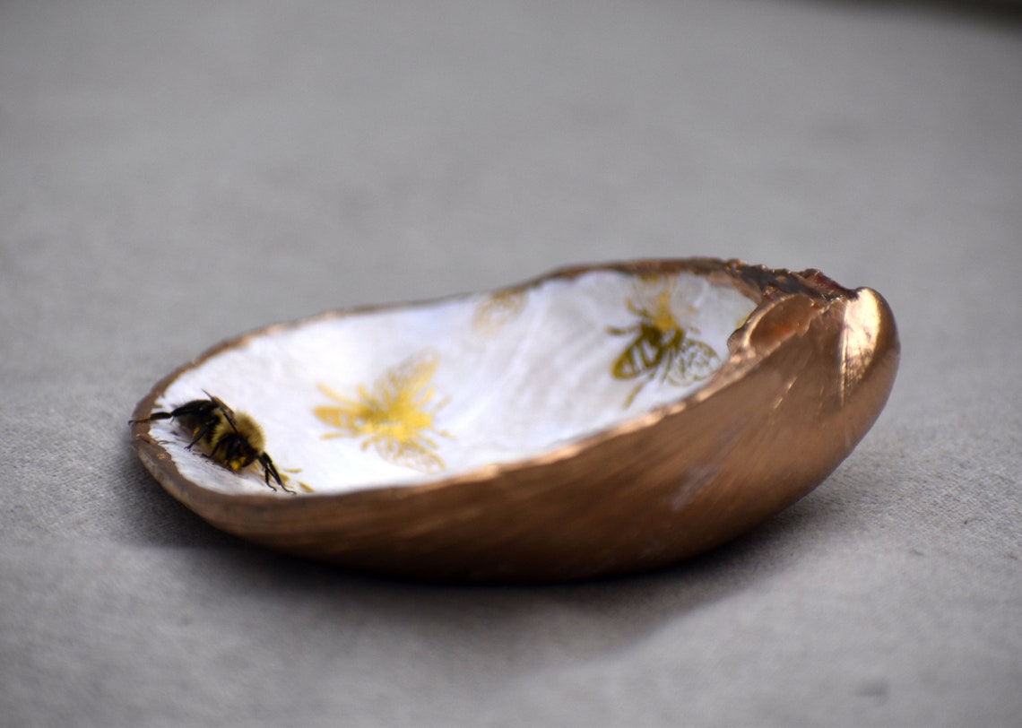 Bee Decoupage Clam Shell Gold and Pink Cape Cod Liquid - Etsy