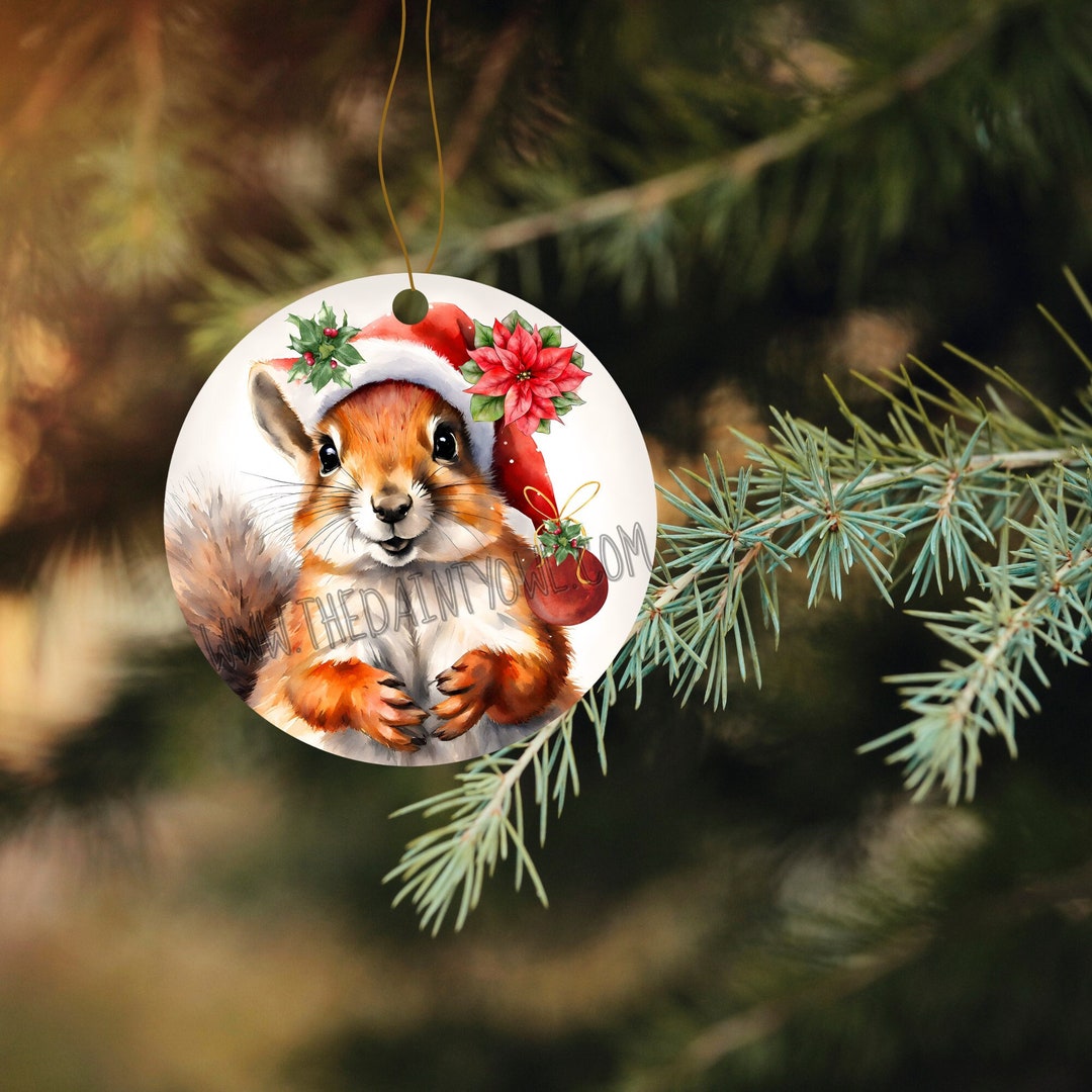 Christmas Squirrel Ornament Sublimation Design PNG Christmas Squirrel ...