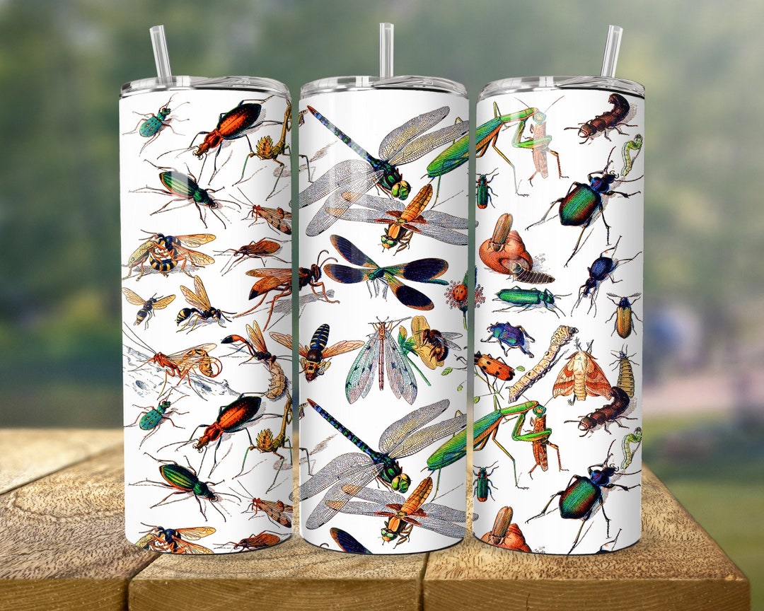 Vintage Insect Art Tumbler Wrap: Bug Sublimation Design (PNG) - Etsy