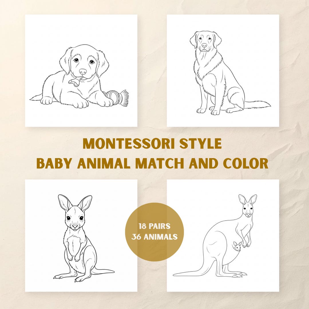 Montessori Baby Animal Matching Coloring Pages – 18 Pairs (preschool ...