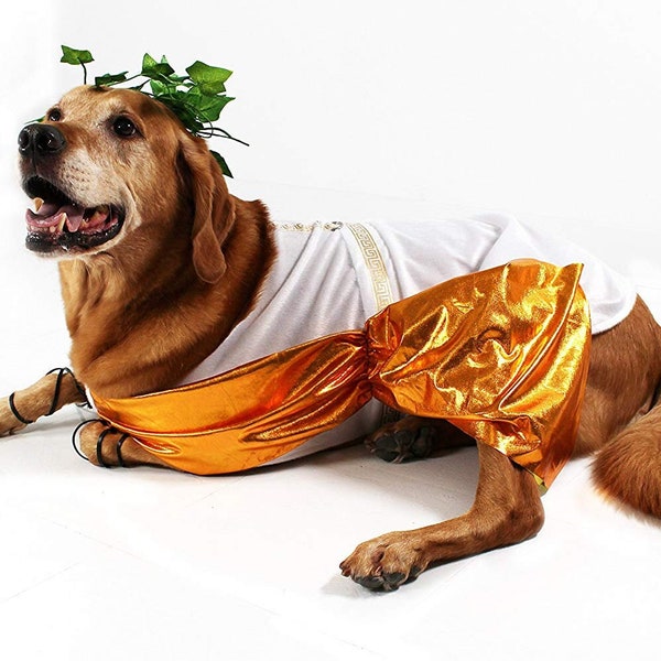 Toga Costume - Etsy