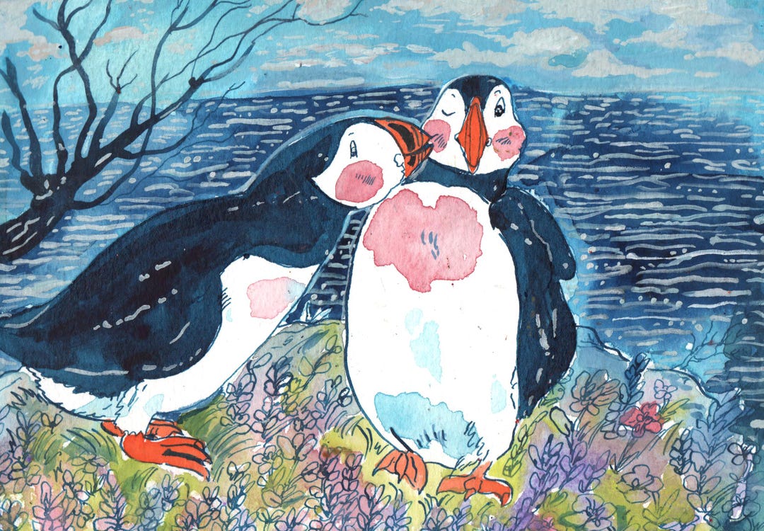 Puffins - Original A5 Drawing - Etsy