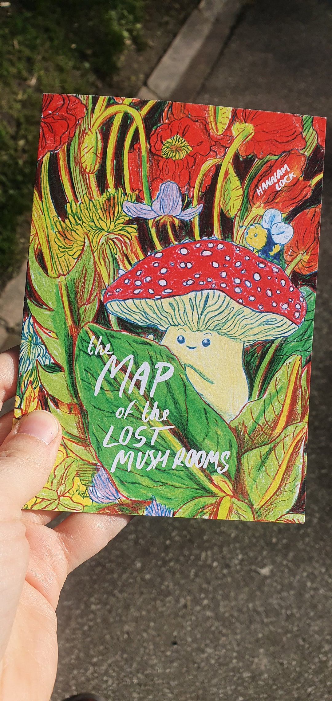 The Map of Lost Mushrooms - Concertina Zine - Etsy