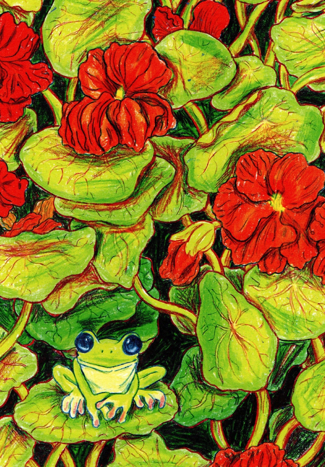 Frog - Print - Etsy