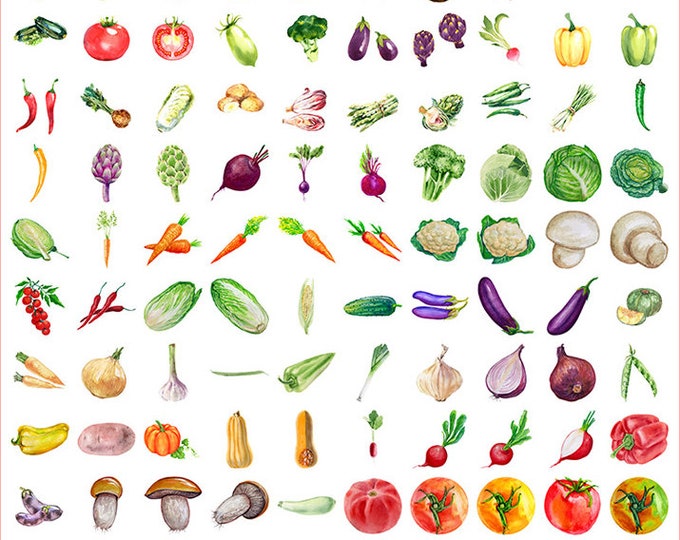 Fruit & Vegetable Stickers, A4 Sheet of 35 Circular Stickers With ...