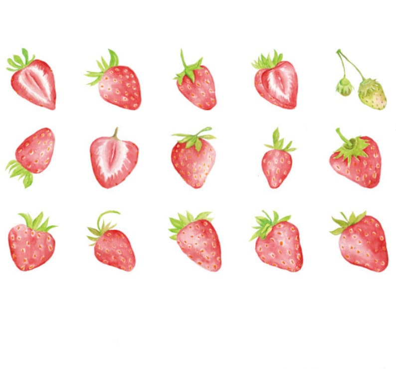 45pcs Strawberry Sticker Fruit Sticker Sticker Flakes - Etsy