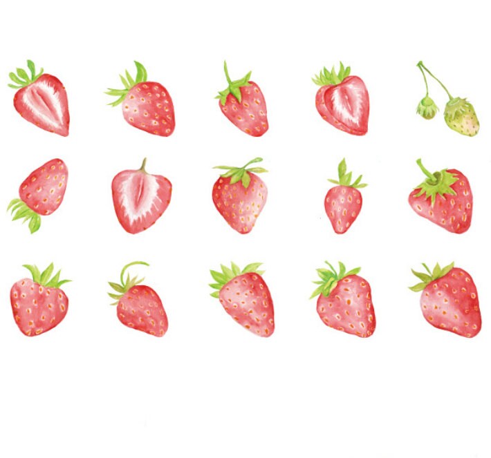 45pcs Strawberry Sticker Fruit Sticker Sticker Flakes - Etsy