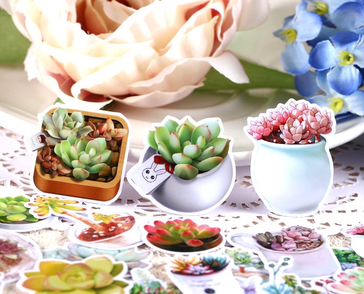 Sale 26pcs Succulent stickers Plant sticker Planner | Etsy