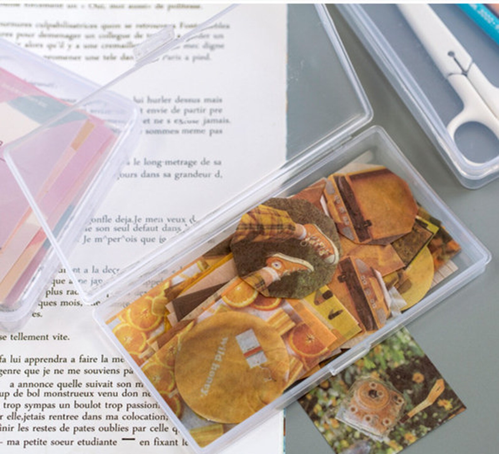 Sticker Storage Box Desk Storage Plastic Storage Box Bead - Etsy