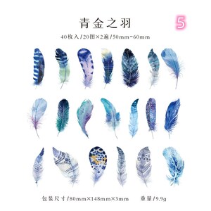 40 Pcs Feather Stickers Plume Sticker PET Colorful - Etsy