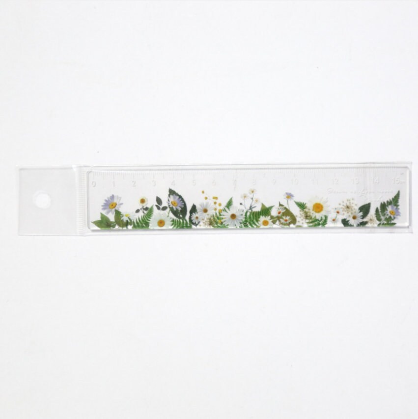 Regla Regla de dibujo regla linda papelería kawaii regla - Etsy España