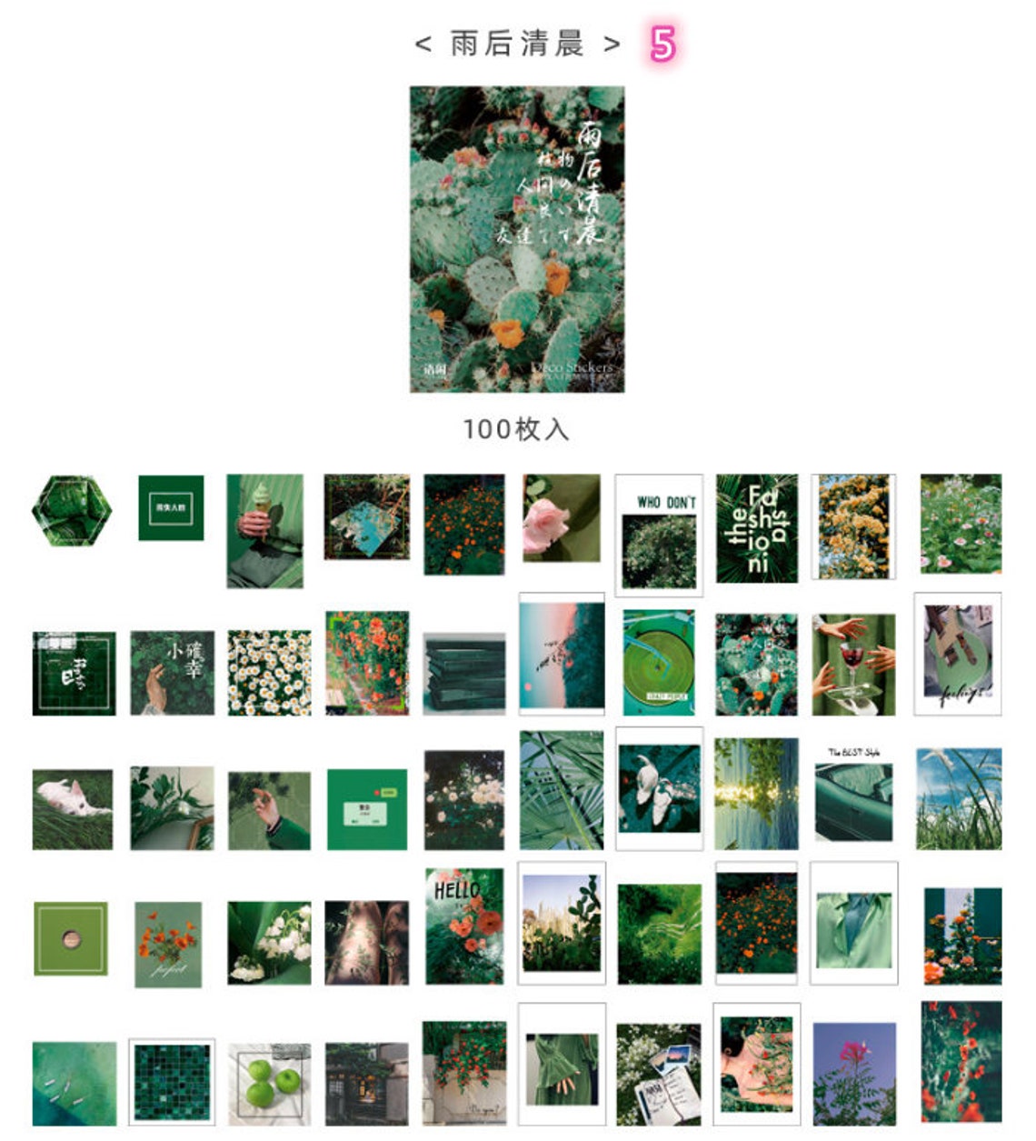 100pcs scenery stickers plant stickers photo album | Etsy
