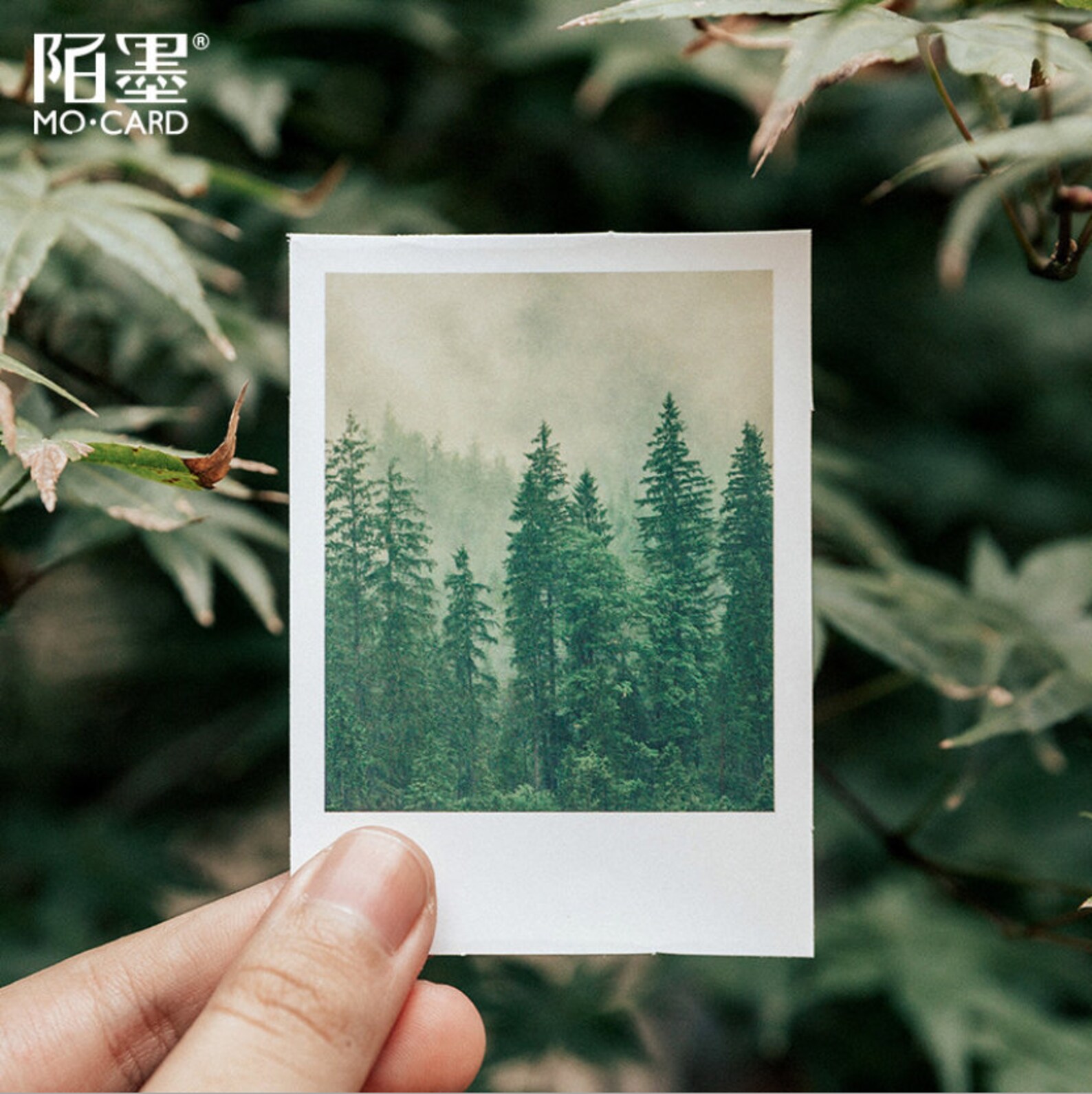 30pcs Pretty Stickers Photo Album Decoration Cute Stickers - Etsy