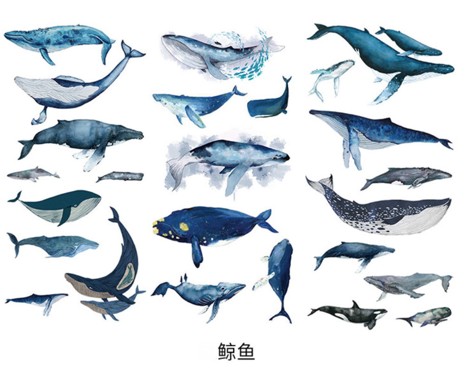 3 Sheets Whale Stickers Planner Sticker Decorative - Etsy