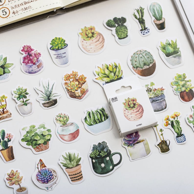 50pcs, Succulent Stickers, Plant Sticker, Cactus, Flower, Sticker ...