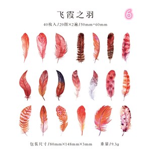 40 Pcs Feather Stickers Plume Sticker PET Colorful - Etsy