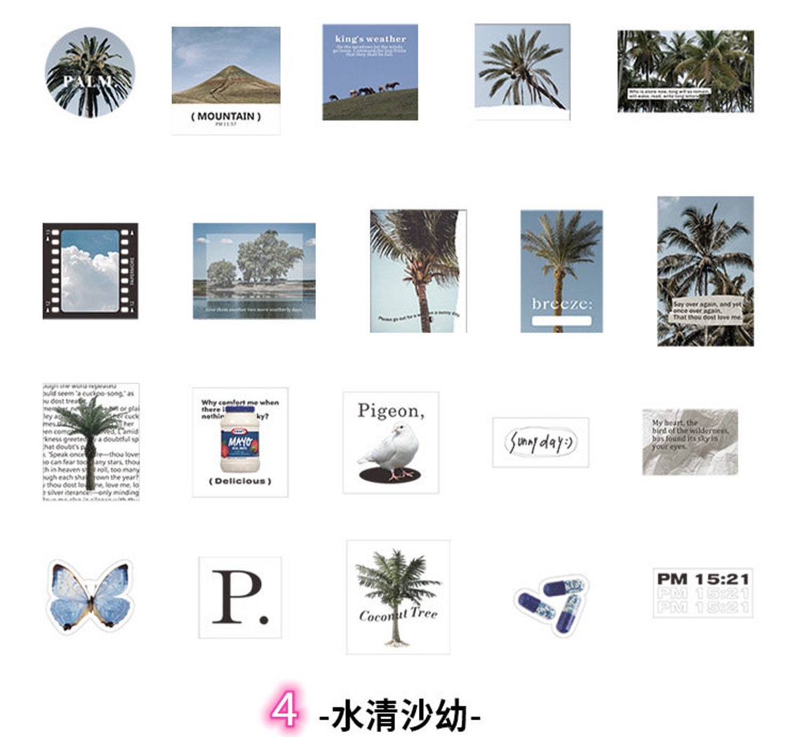 40pcs Pretty Stickers PET Stickers Photo Album Decoration | Etsy