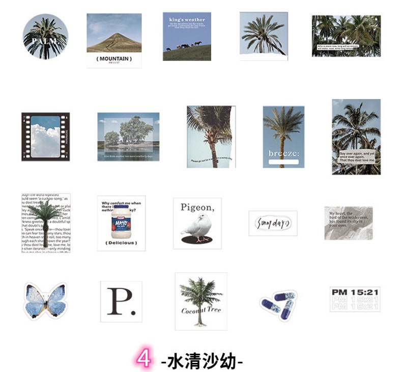 40pcs Pretty Stickers PET Stickers Photo Album Decoration | Etsy