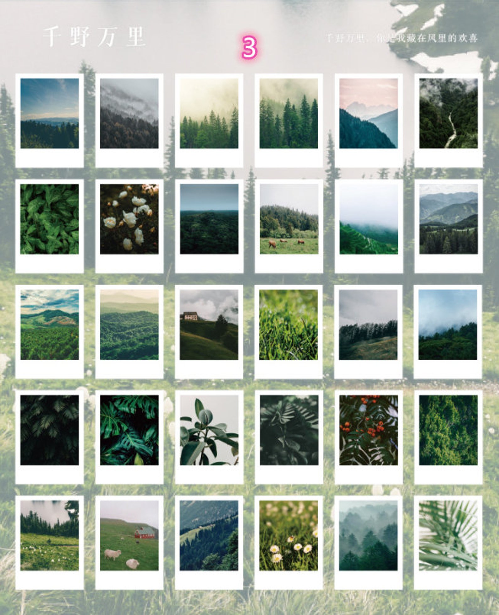 30pcs Pretty Stickers Photo Album Decoration Cute Stickers - Etsy