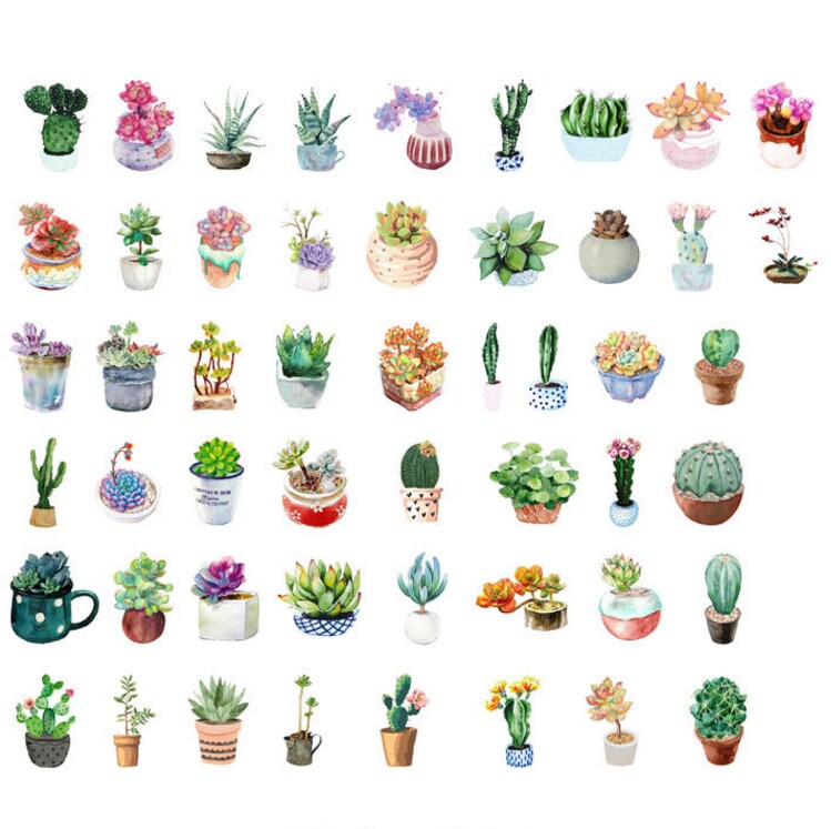 50pcs Succulent stickers Plant sticker cactus flower | Etsy