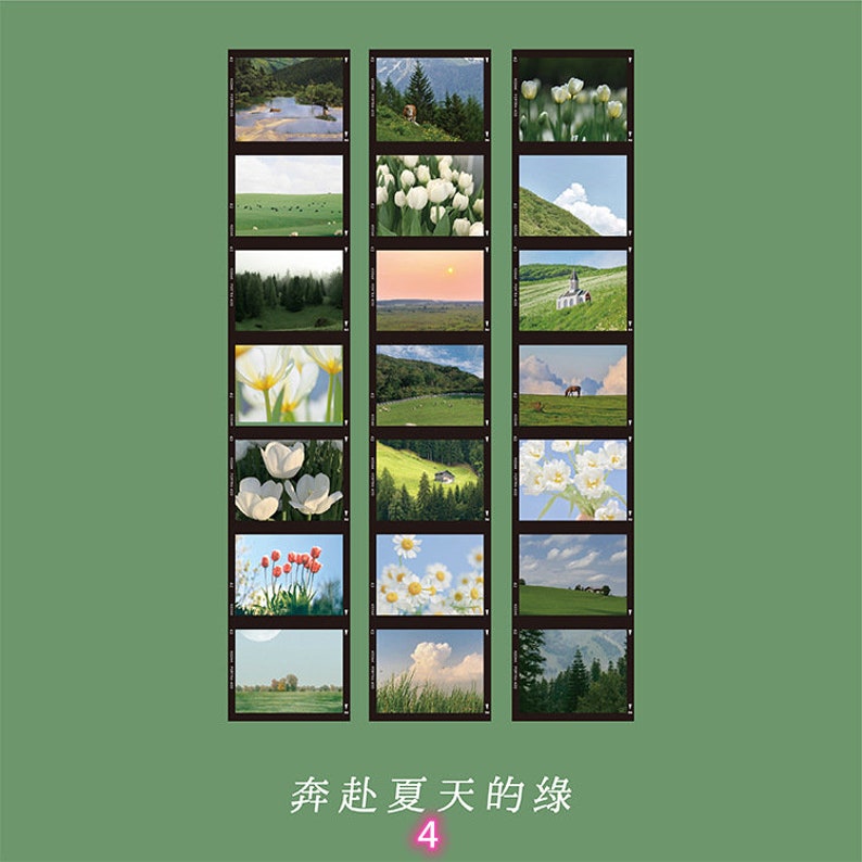 3 Sheets Film Stickers Pack Photographs Stickers Junk | Etsy