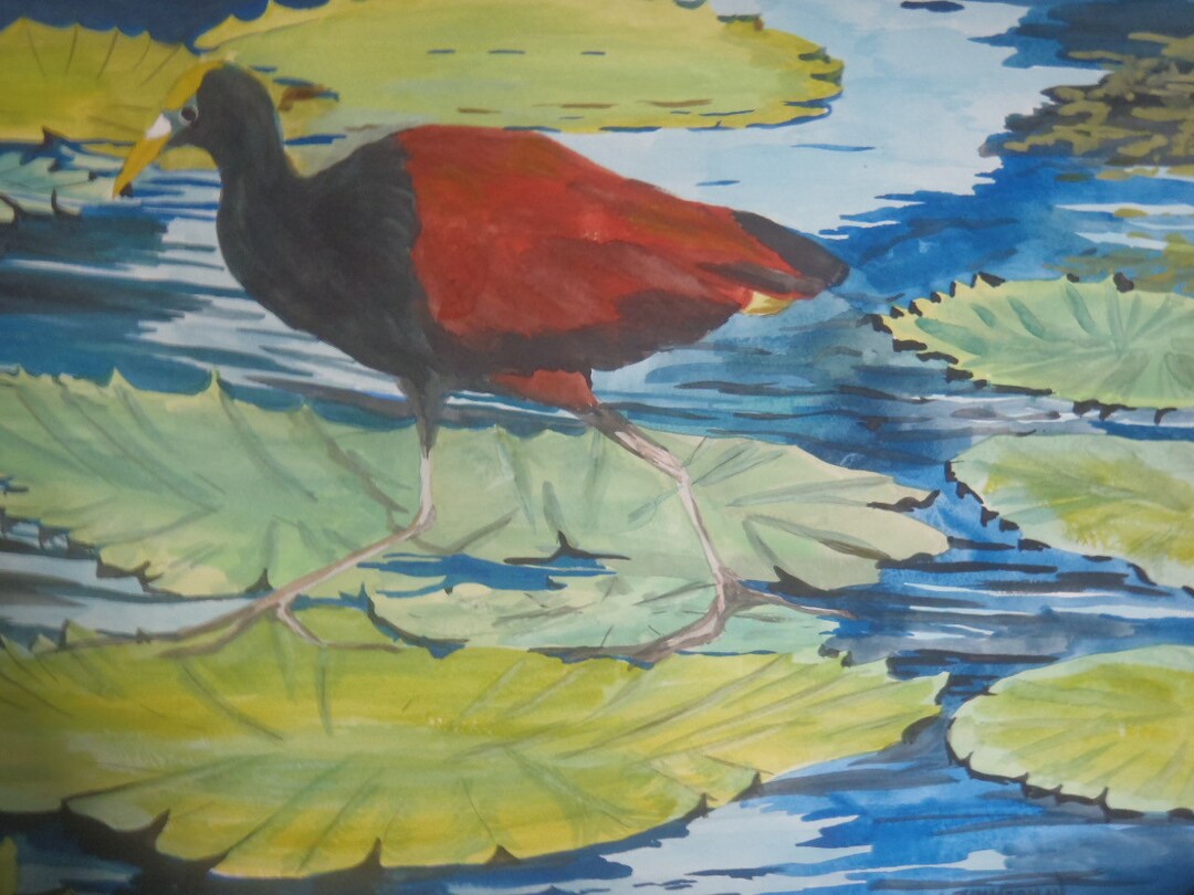 Jacana jesus Christ Bird - Etsy