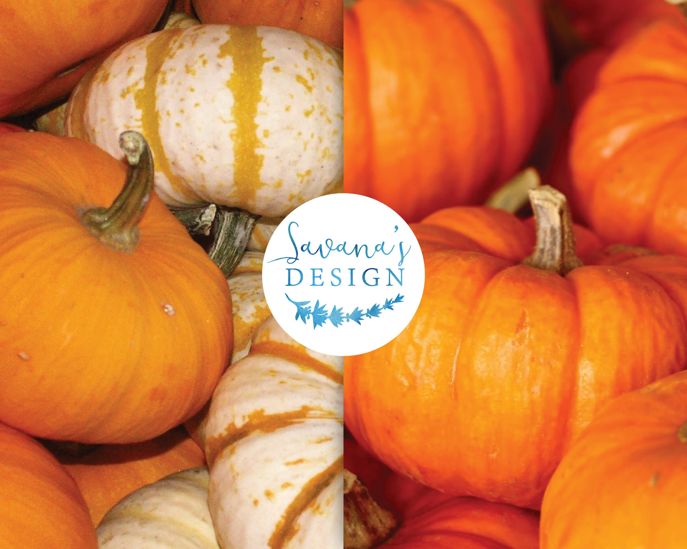 Fall Leaves Digital Paper Autumn Leaves Digital Paper Autumn - Etsy