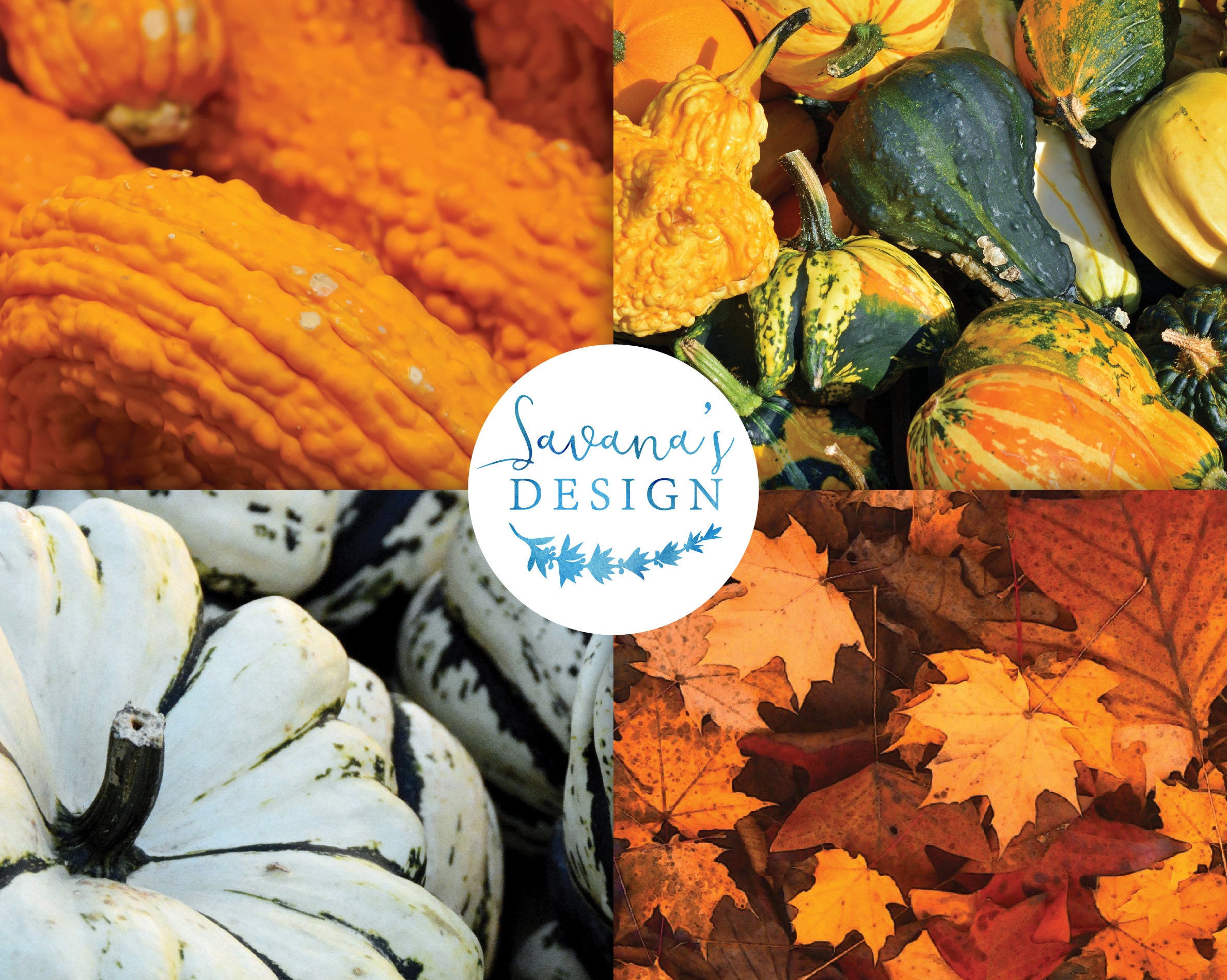 Fall Leaves Digital Paper Autumn Leaves Digital Paper Autumn - Etsy