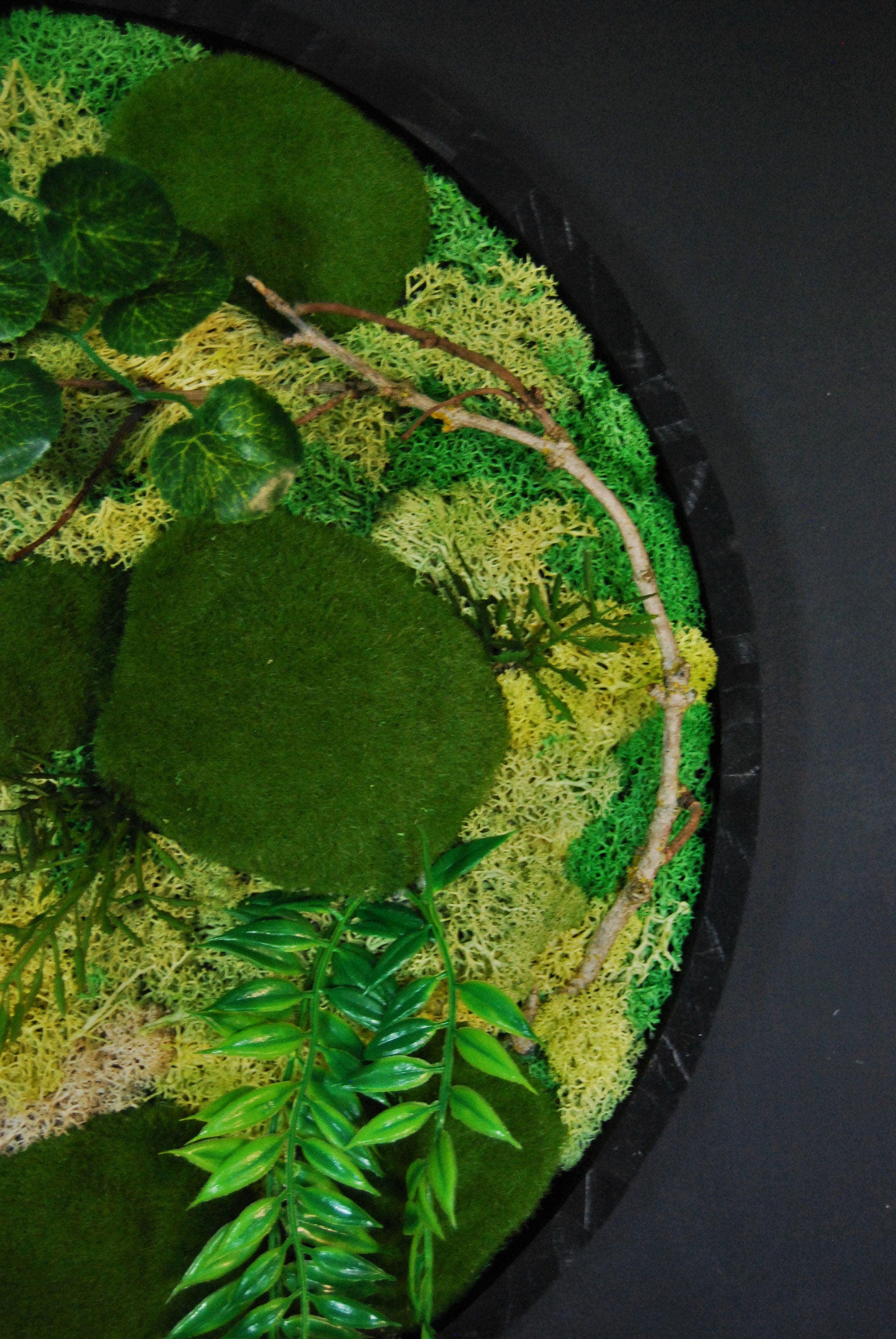 Artificial Moss Wall Feature / Living Wall / Preserved Moss Art ...