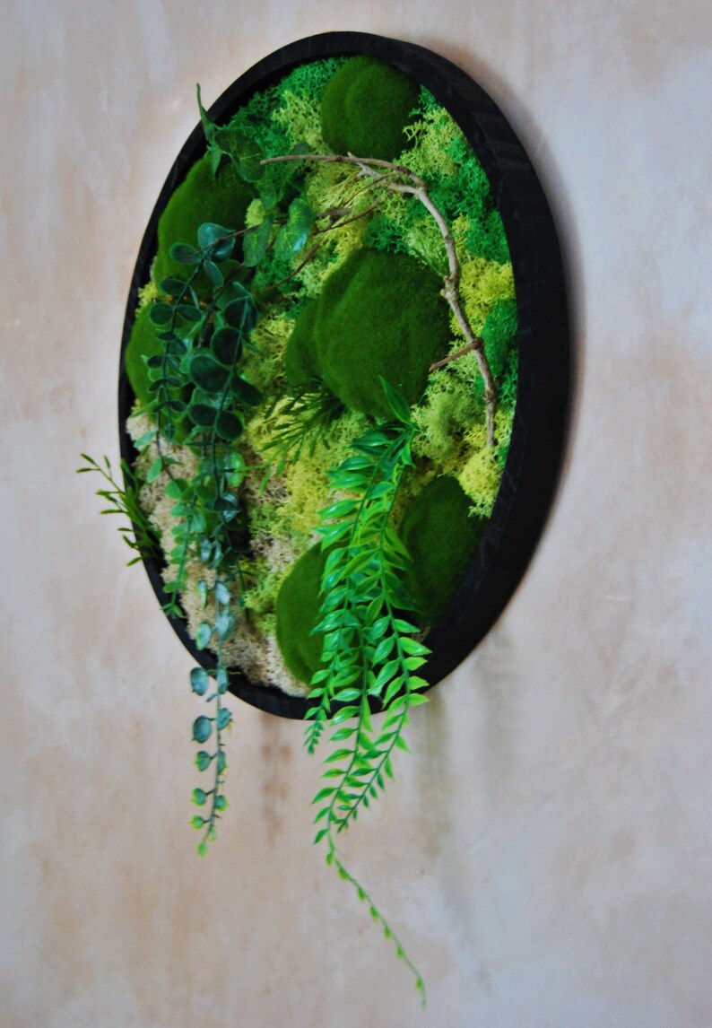 Artificial Moss Wall Feature / Living Wall / Preserved Moss Art ...