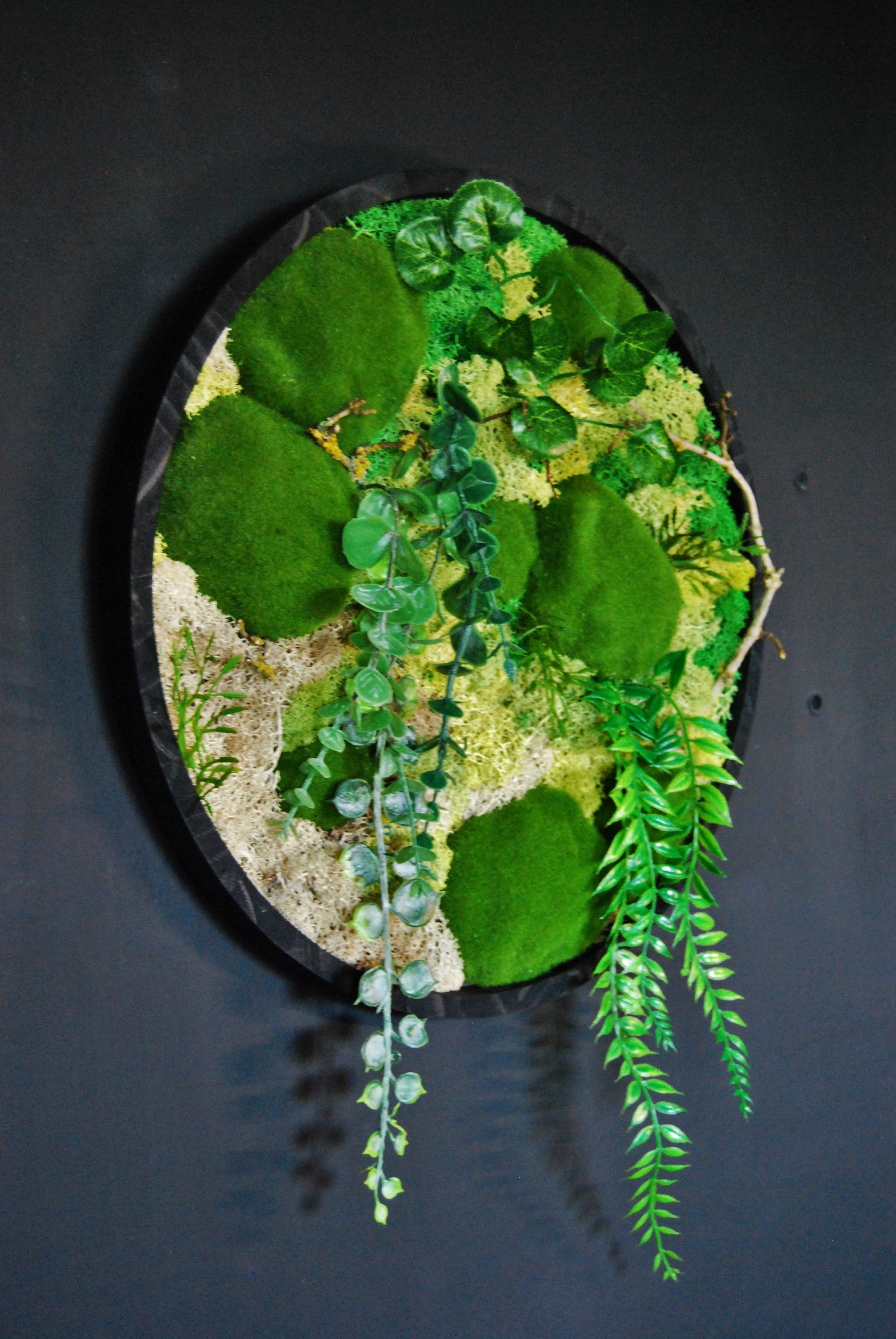 Artificial Moss Wall Feature / Living Wall / Preserved Moss Art ...