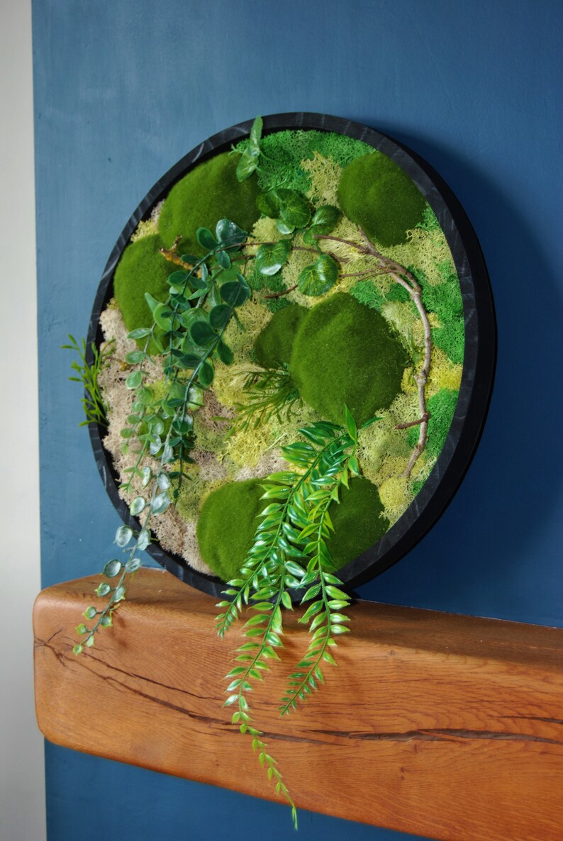 Artificial Moss Wall Feature / Living Wall / Preserved Moss Art ...