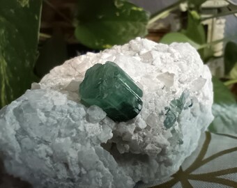 CalliecoGeodes - Etsy