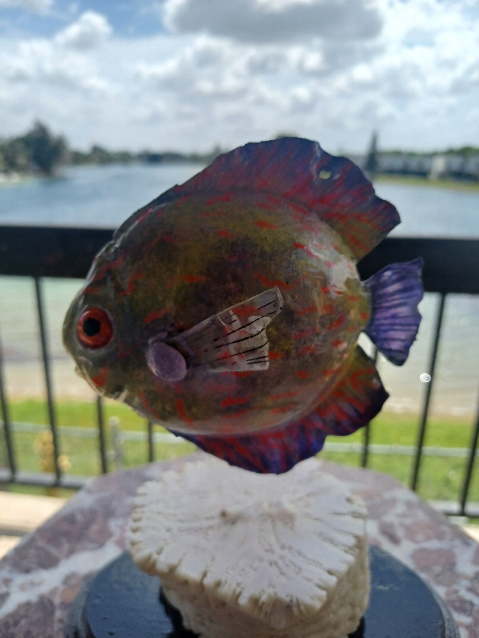 GOURD AQUARIUM FISH - Etsy