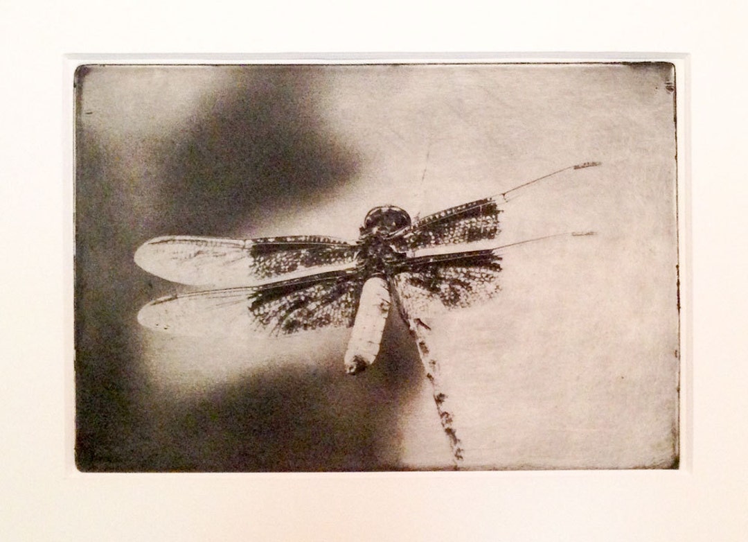 Libellule - Etching Polymer Gravure - Etsy