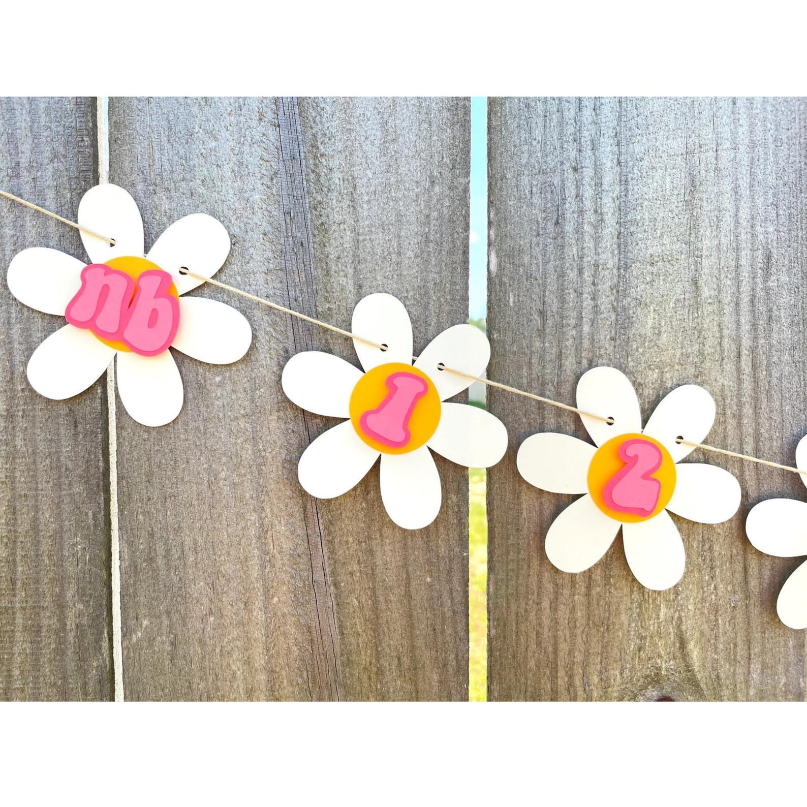 Groovy Birthday Party Banner, Groovy Monthly Photo Milestone Banner ...