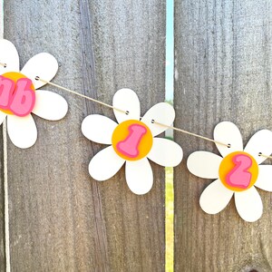 Groovy Birthday Party Banner, Groovy Monthly Photo Milestone Banner ...