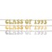 Class of 1993 Banner Highschool Reunion Banner 30 Years - Etsy