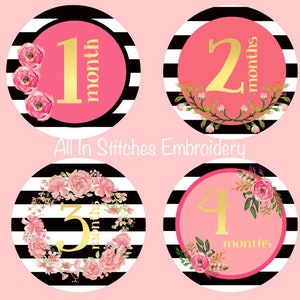 Monthly Baby Milestone Stickers - Etsy