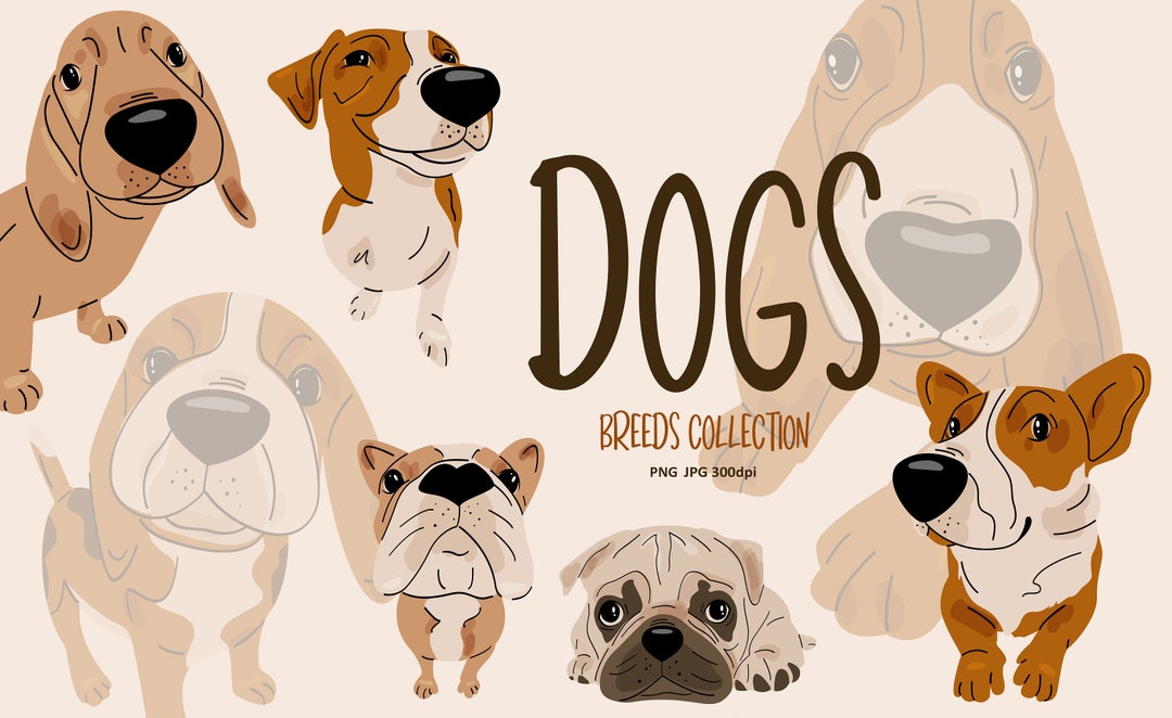 Dog Clipart Set - Hand Drawn Dog Breeds - Digital PNG - Cute Animals ...