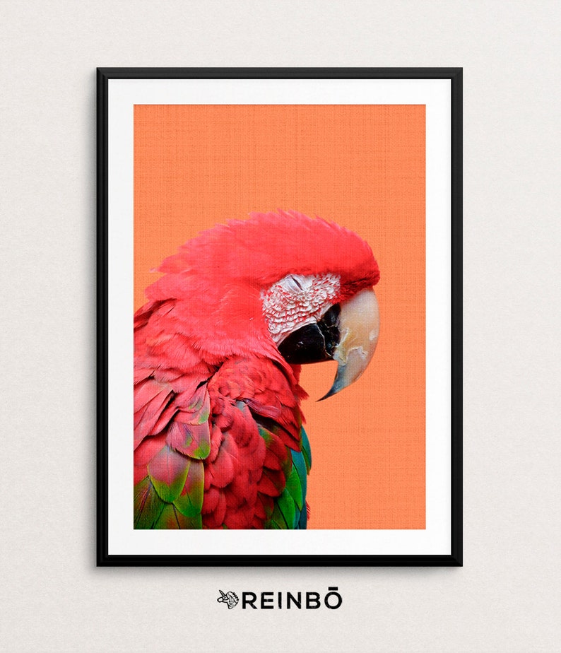 Red Parrot Print, Bird Print, Tropical Parrot Wall Art, Tropical Decor ...
