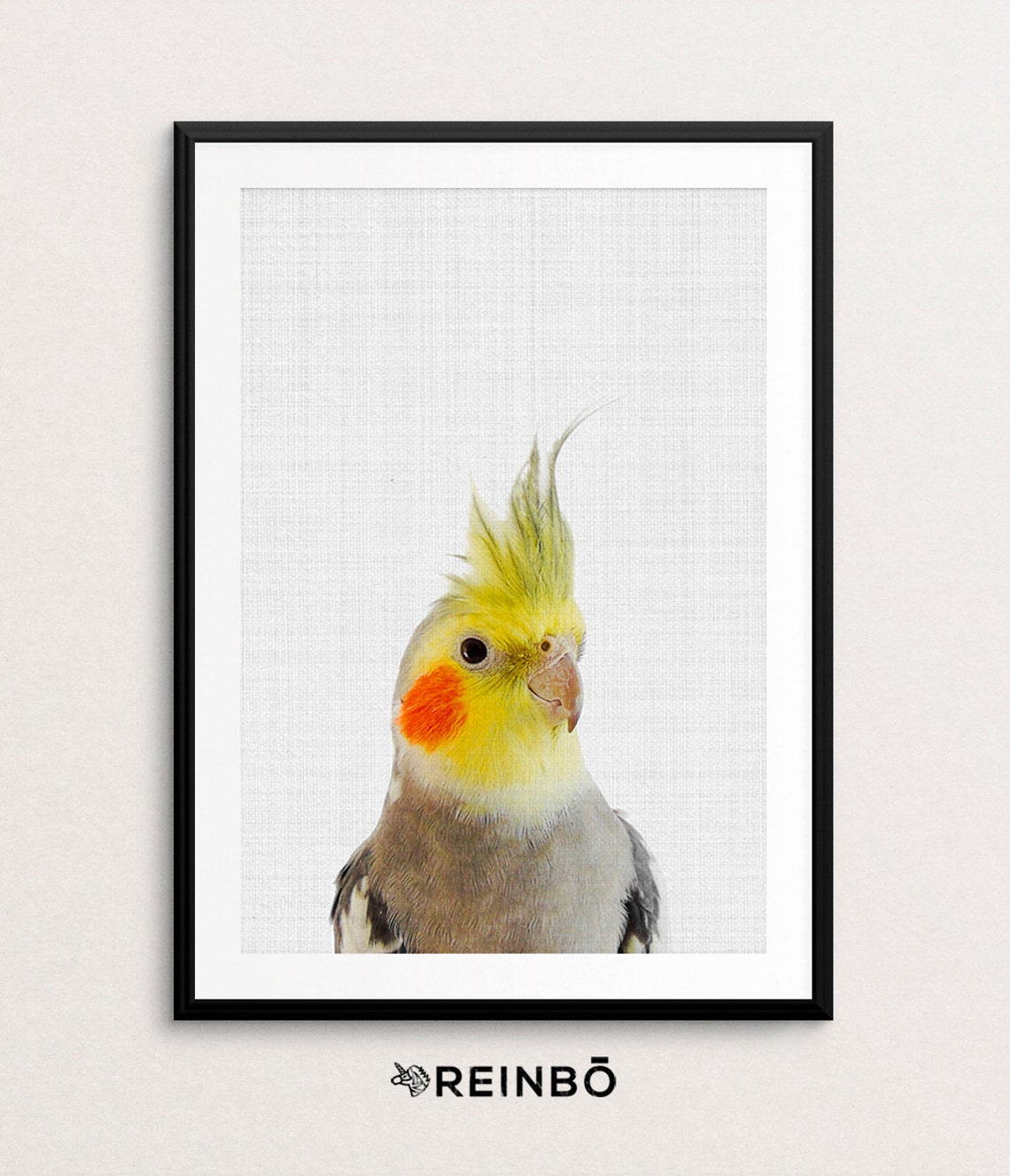 Cockatiel, Cockatiel Print, Bird Wall Art, Colourful Bird, Printable ...