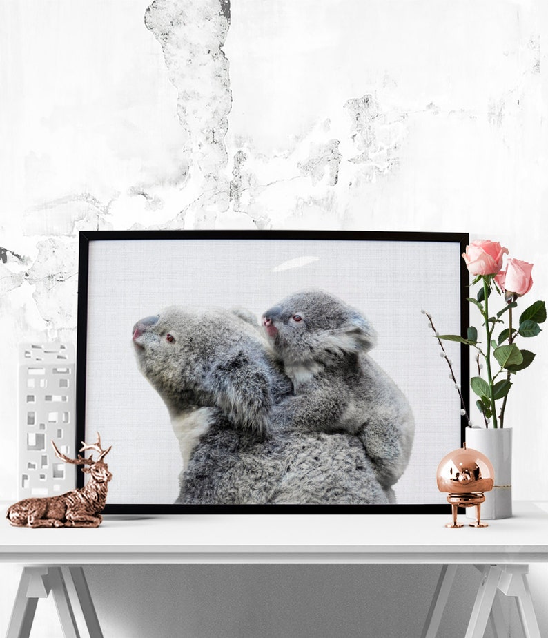 Koala Wall Print Koala Poster Baby Koala Nursery Koala - Etsy