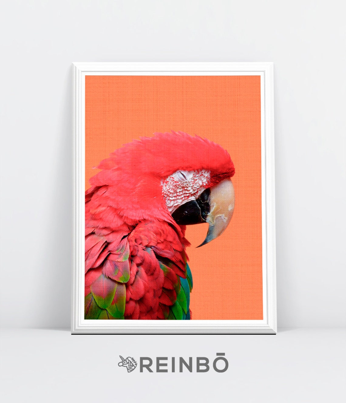 Red Parrot Print Bird Print Tropical Parrot Wall Art - Etsy