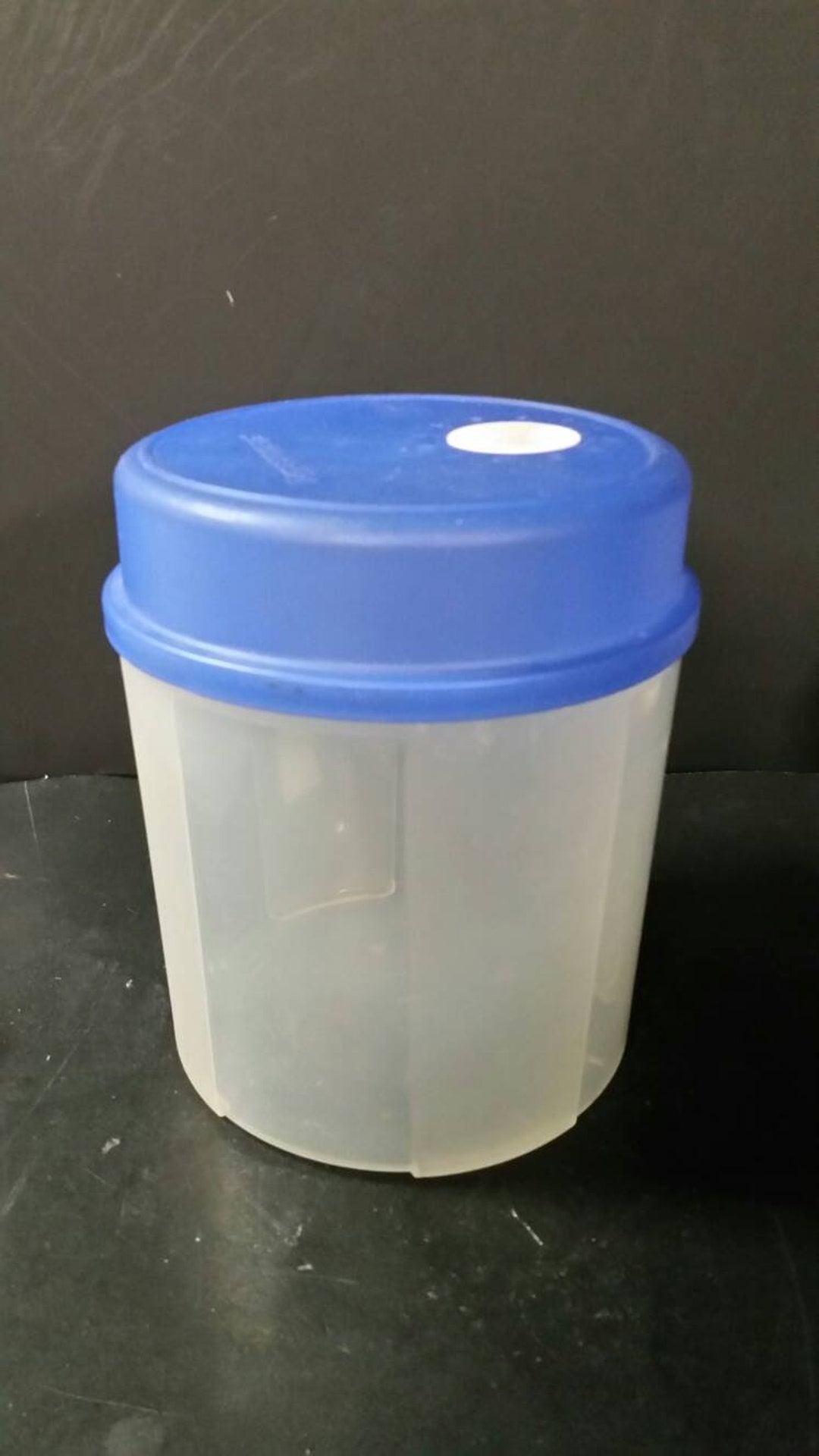 Vintage Tupperware Freeze Smart Storage Container With Lid - Etsy